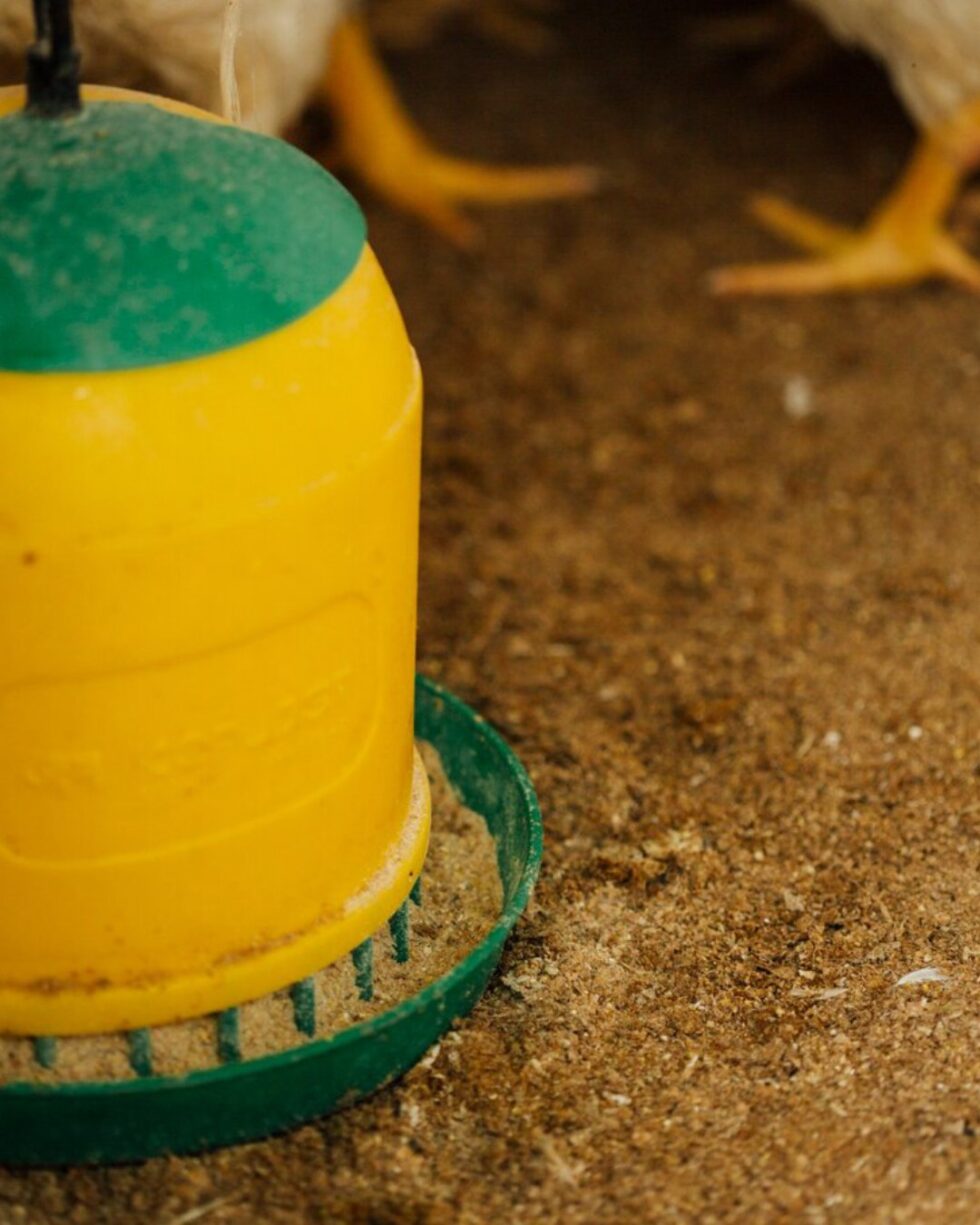 Poultry Equipment | azraspoultry.com